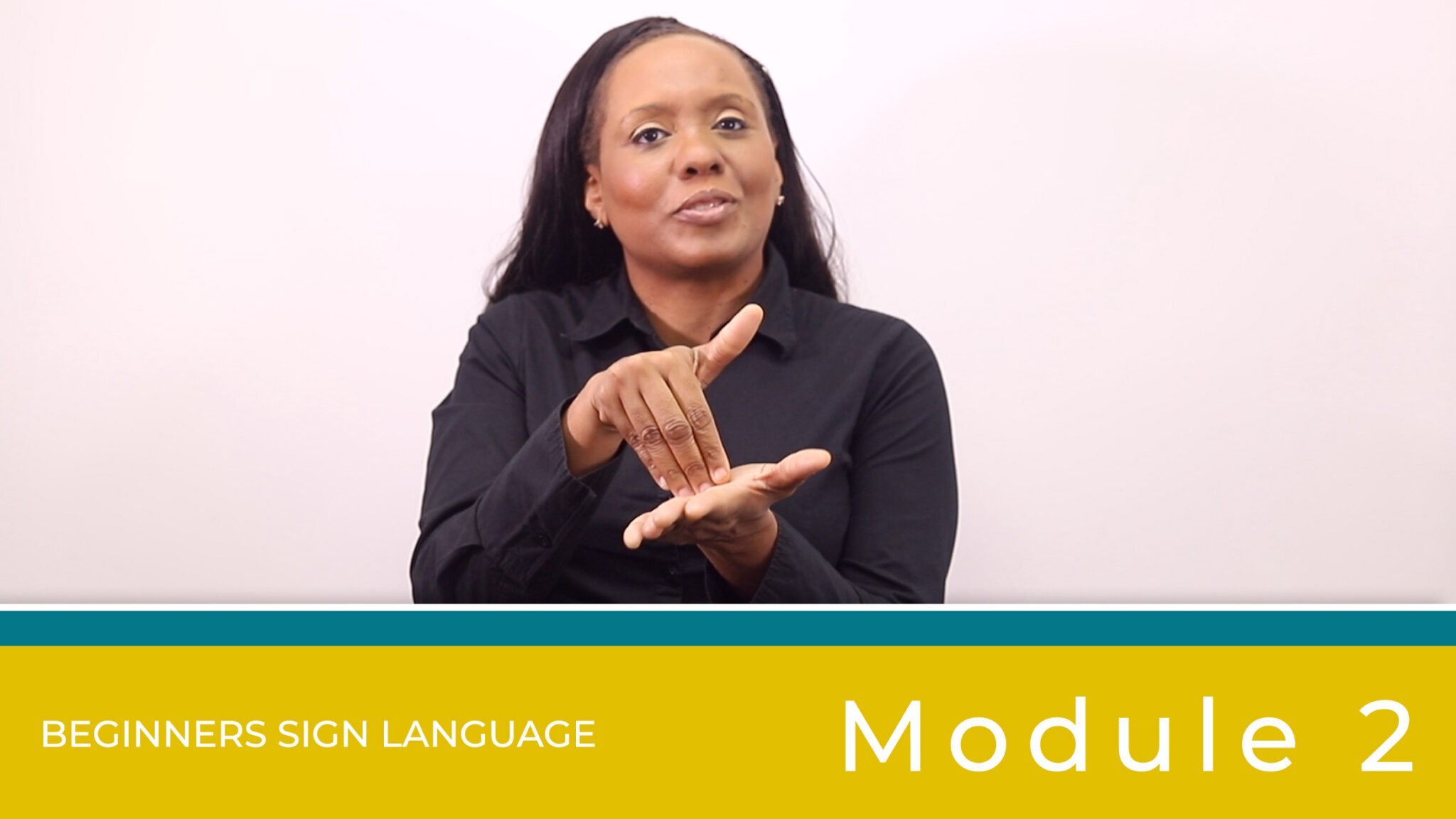 Beginners Sign Language - Module 2: The Basics - NTI Training