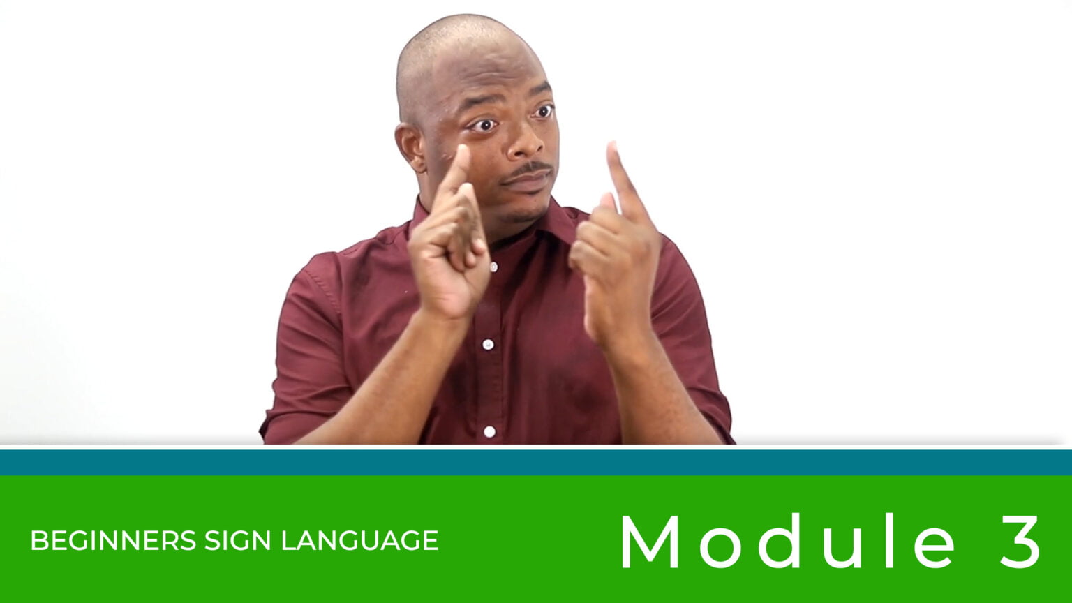 Beginners Sign Language - Module 3: DO’s and DON’Ts when signing - NTI ...